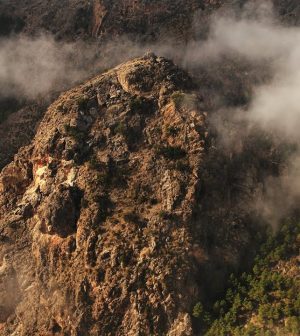 Descubre 5 razones por las que debes visitar Vícar: Un destino ...